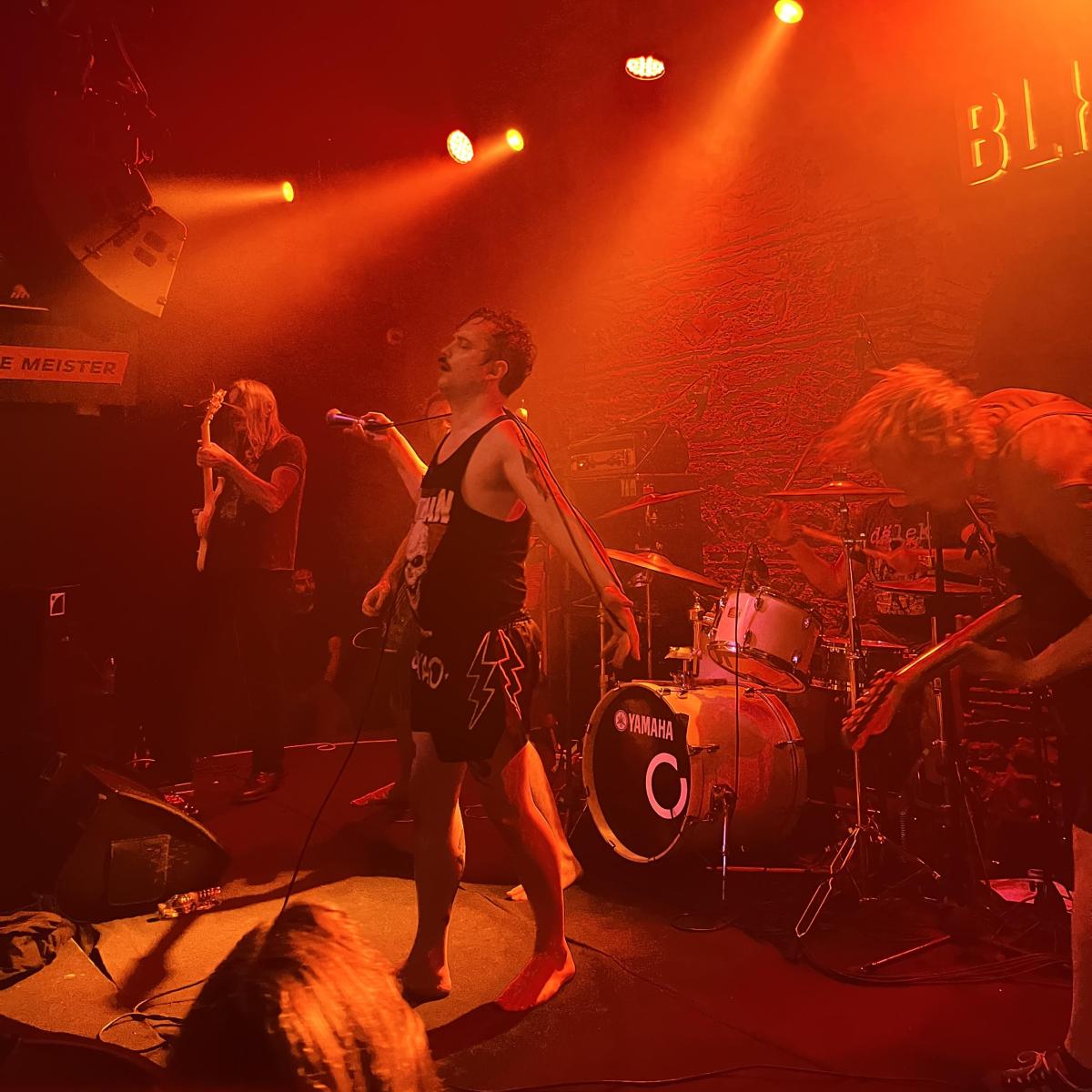 Seven Pigs, One Ghoul, and a Whole Lotta Fuzz